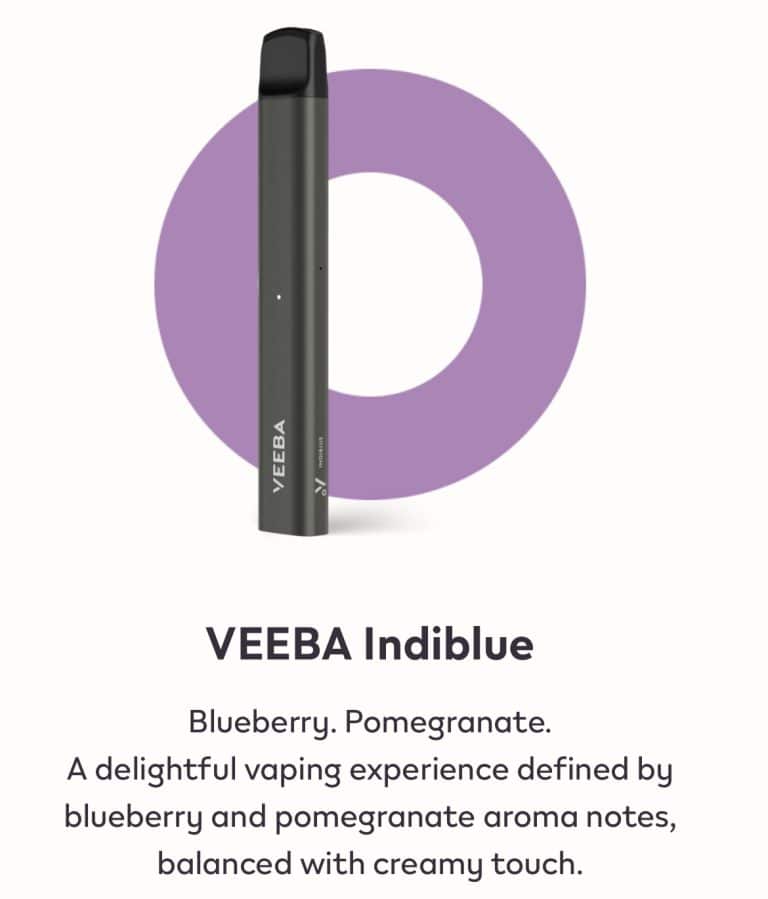 VEEBA Disposable Vape (9 flavours) - Heat Not Burn